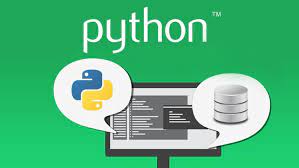 دورة بايثون و قواعد البيانات Python Database | CourseVox | High-Tech E-Learning Platform